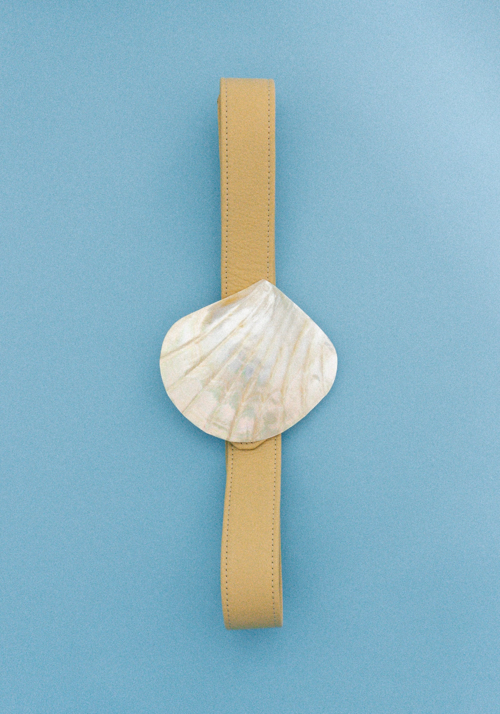 Cocoatemyshoes Emily Shell Belt – VESTIGE