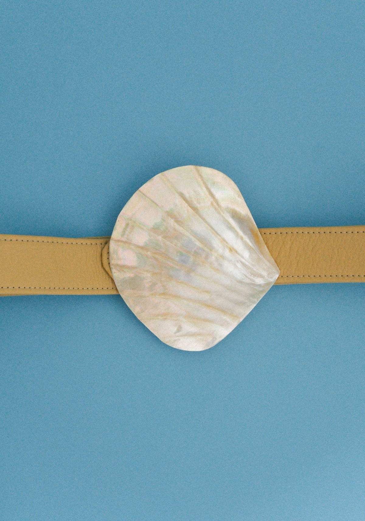 Cocoatemyshoes Emily Shell Belt – VESTIGE