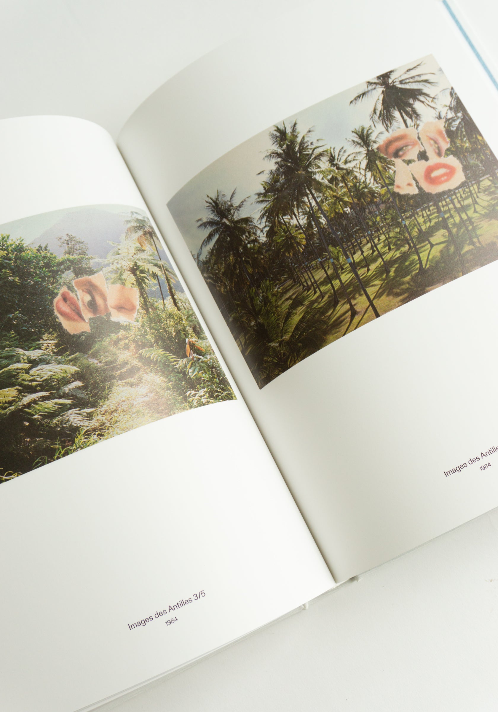 Ellsworth Kelly: Postcards – VESTIGE