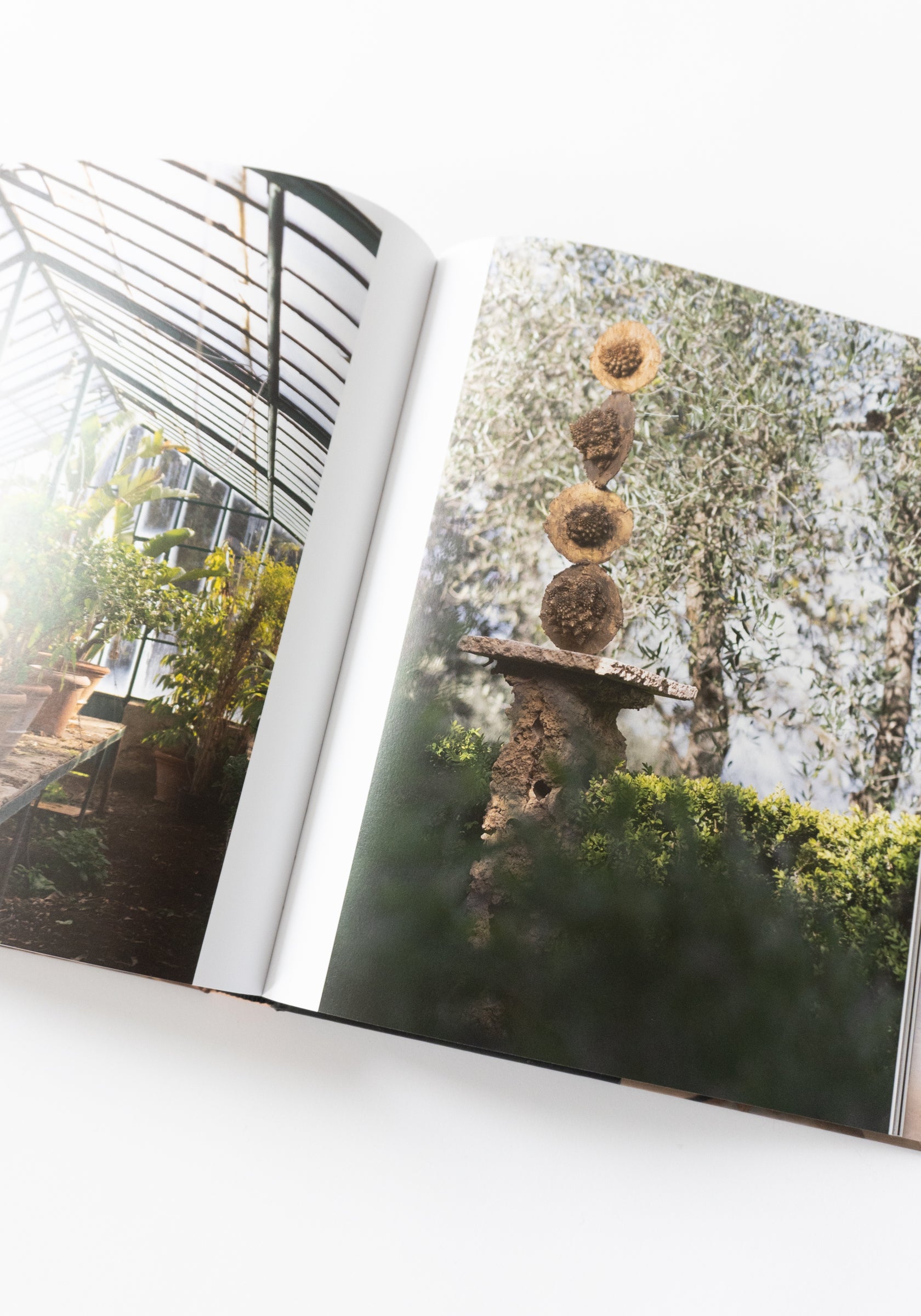 Inside Florence: A Tale of Palazzi and Botteghe – VESTIGE